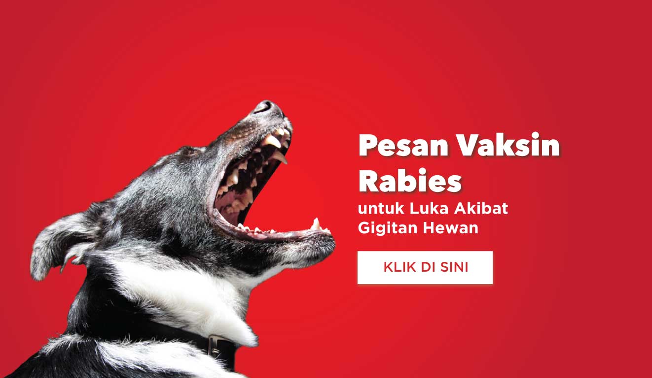 Ciri Hewan yang Terkena dan Menularkan Penyakit Rabies