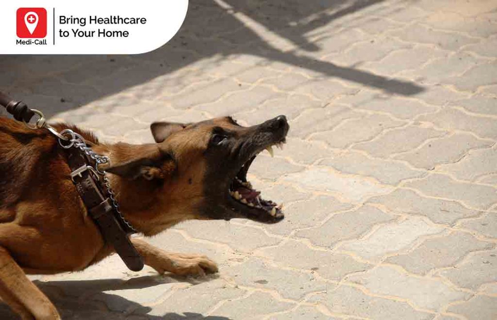 Waspada Gejala Awal Rabies pada Manusia, Apa Saja?