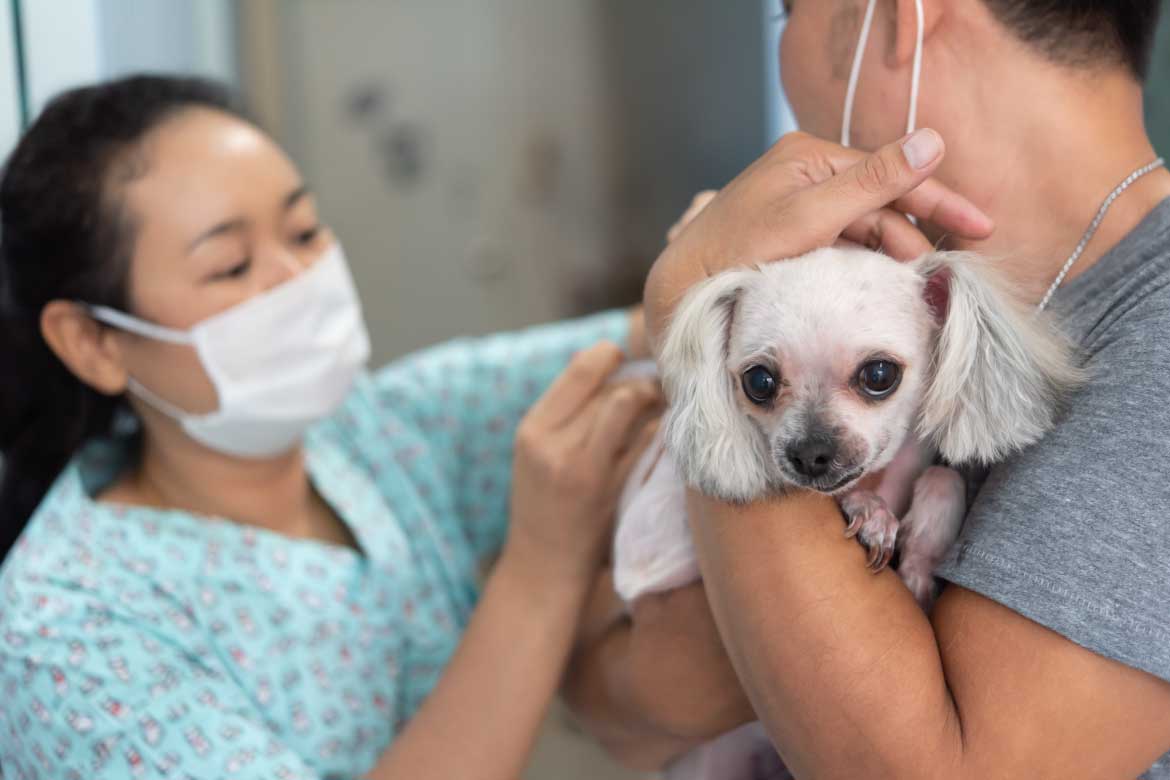 Vaksin rabies pada manusia